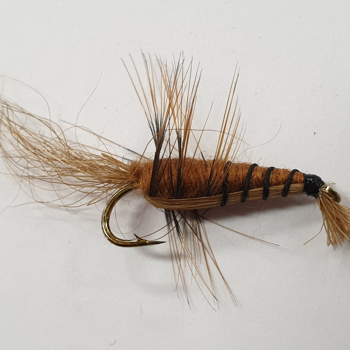 Yabby – High Country Outfitters