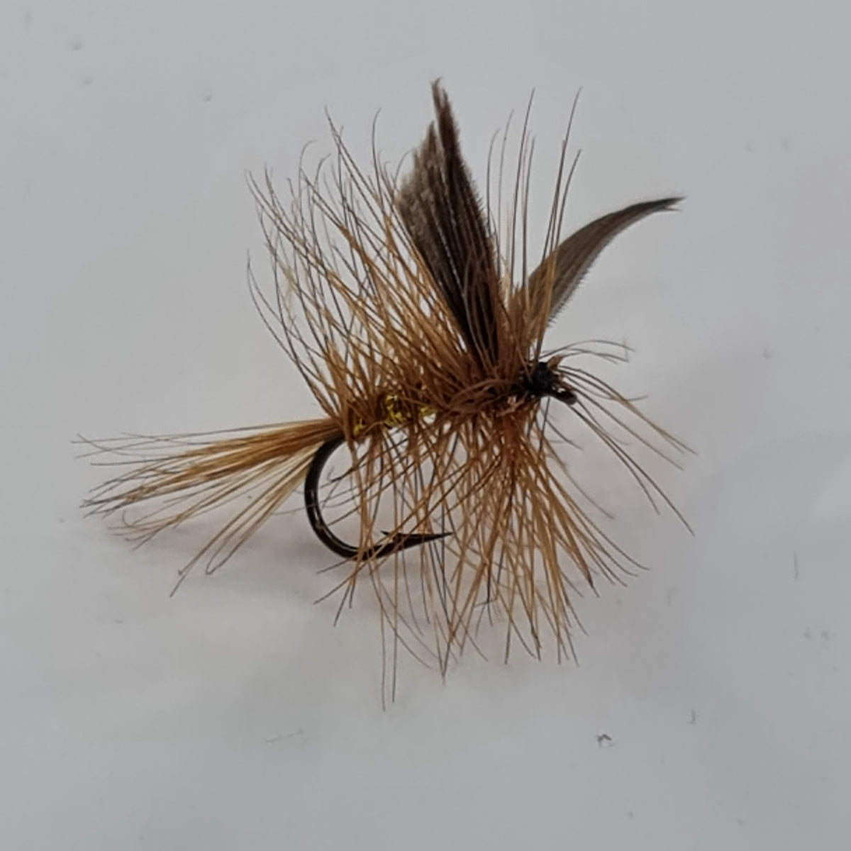 Wickhams Fancy – High Country Outfitters