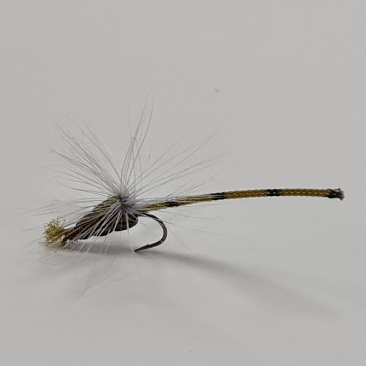 Damsel In Distress – High Country Outfitters