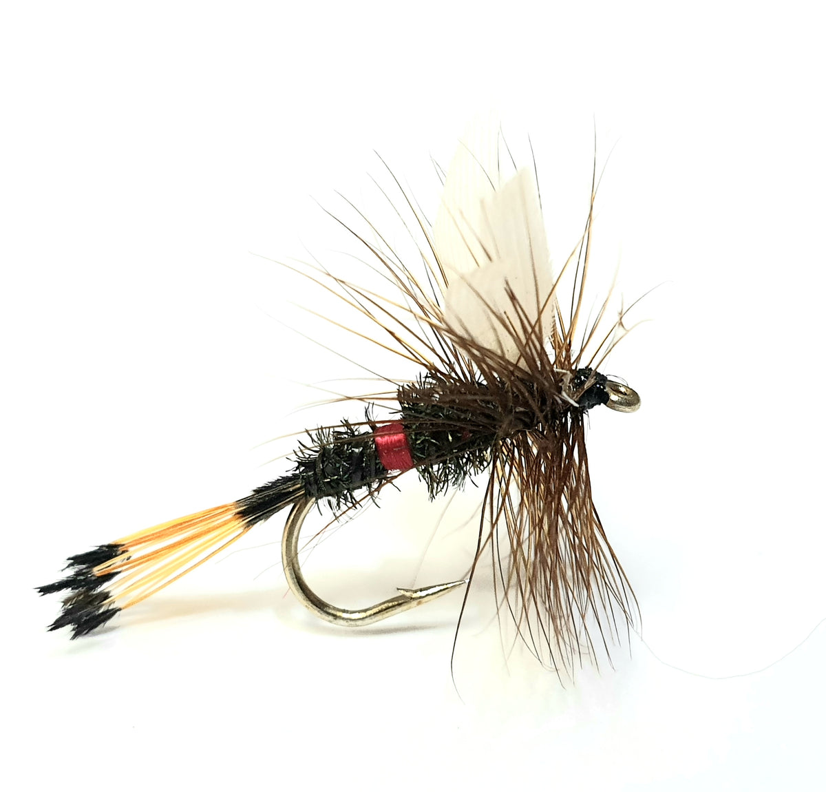 Royal Coachman – High Country Outfitters