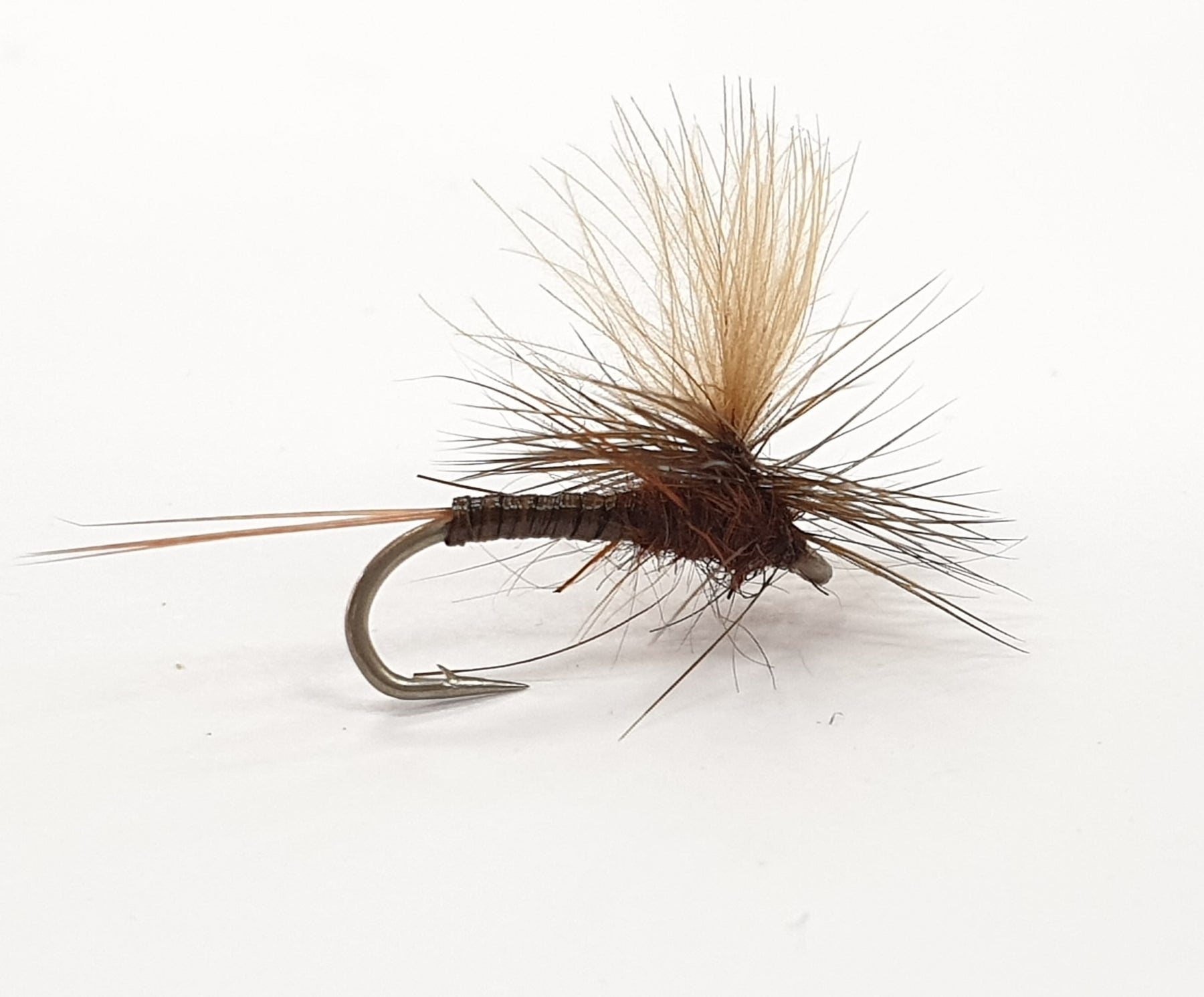 Mayflies – High Country Outfitters